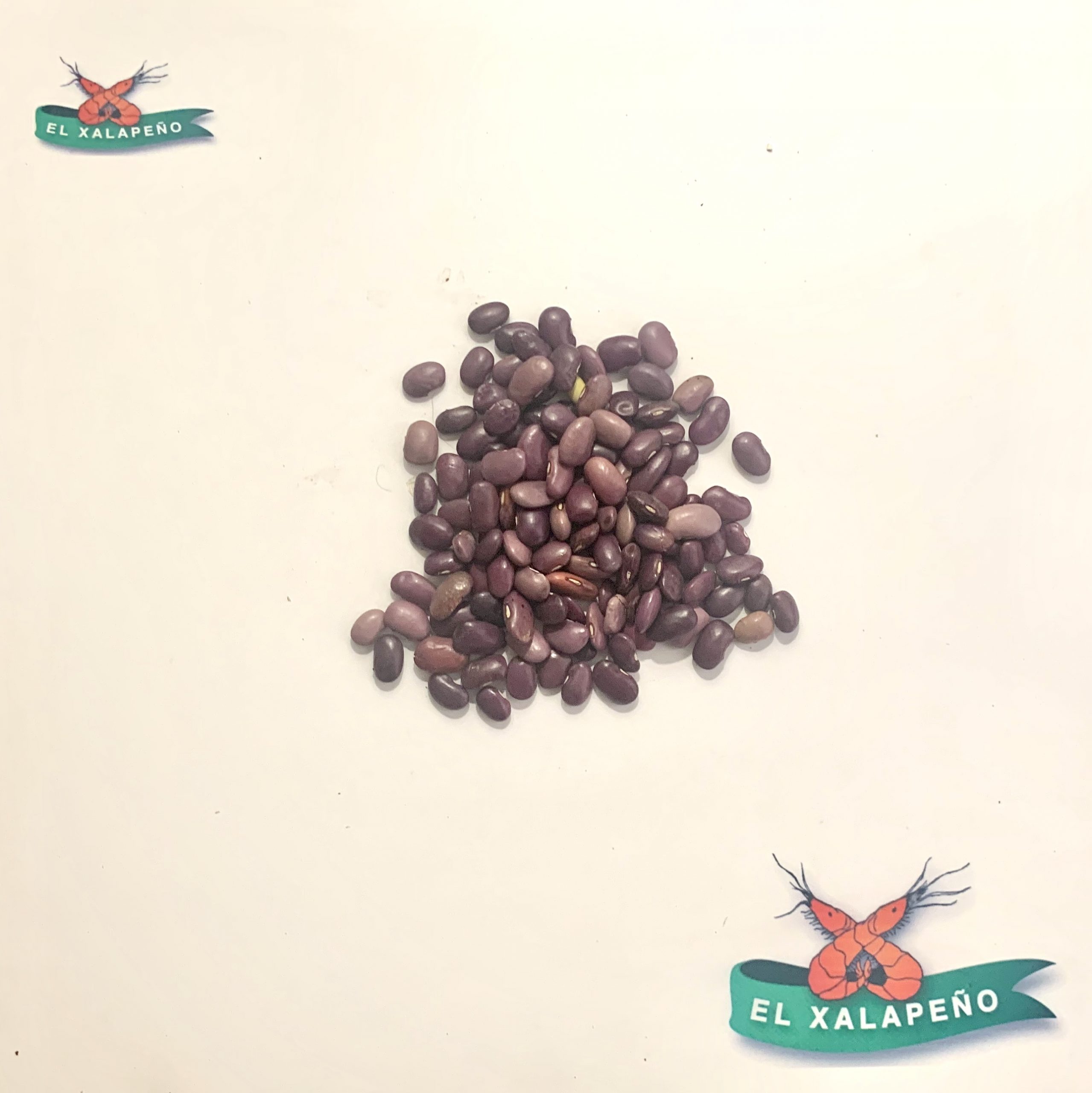 Frijol ayocote – bulto c/25 kg – Xalapeno