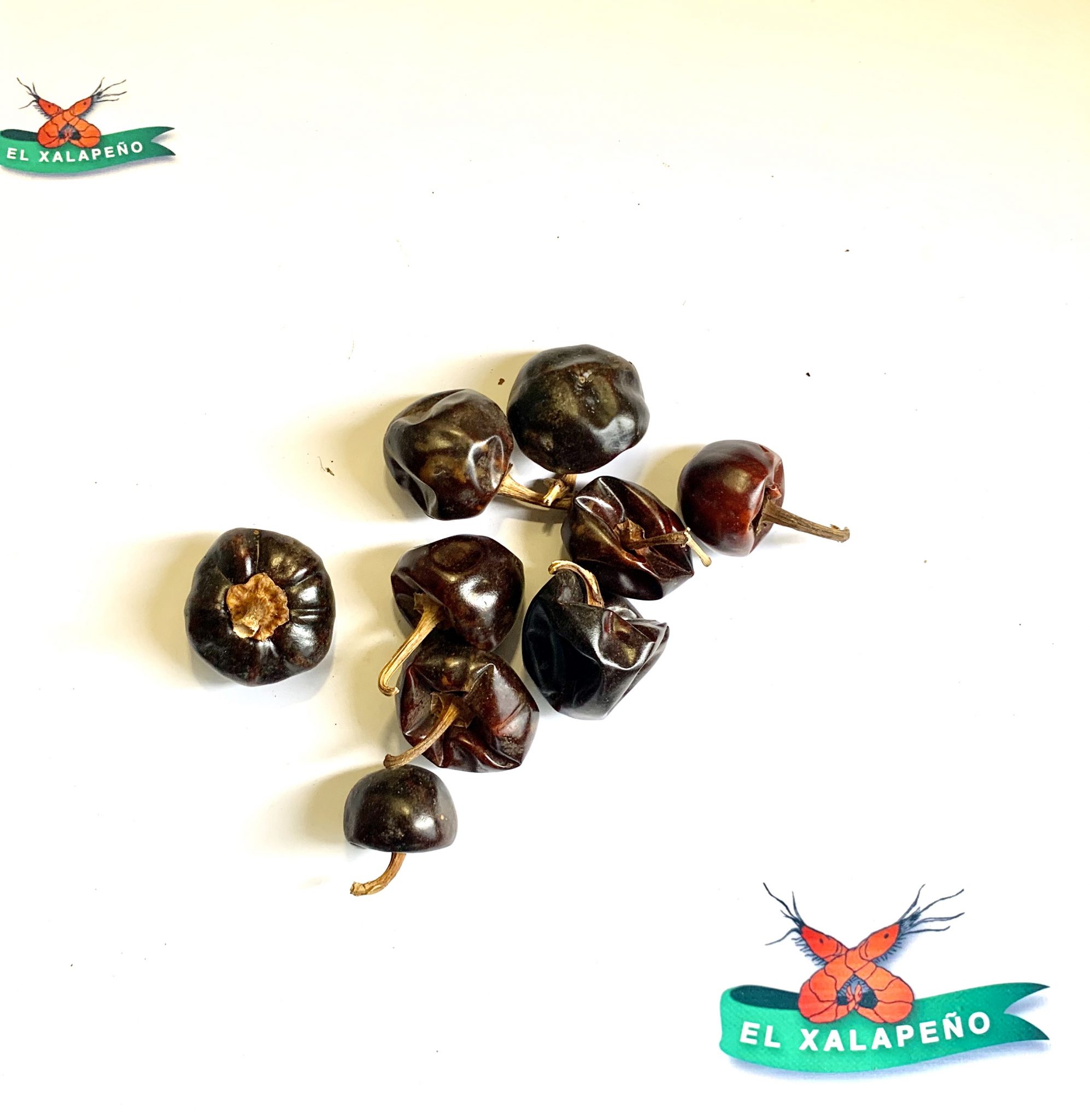 Chile seco cascabel – bulto c/10 kg – Xalapeno