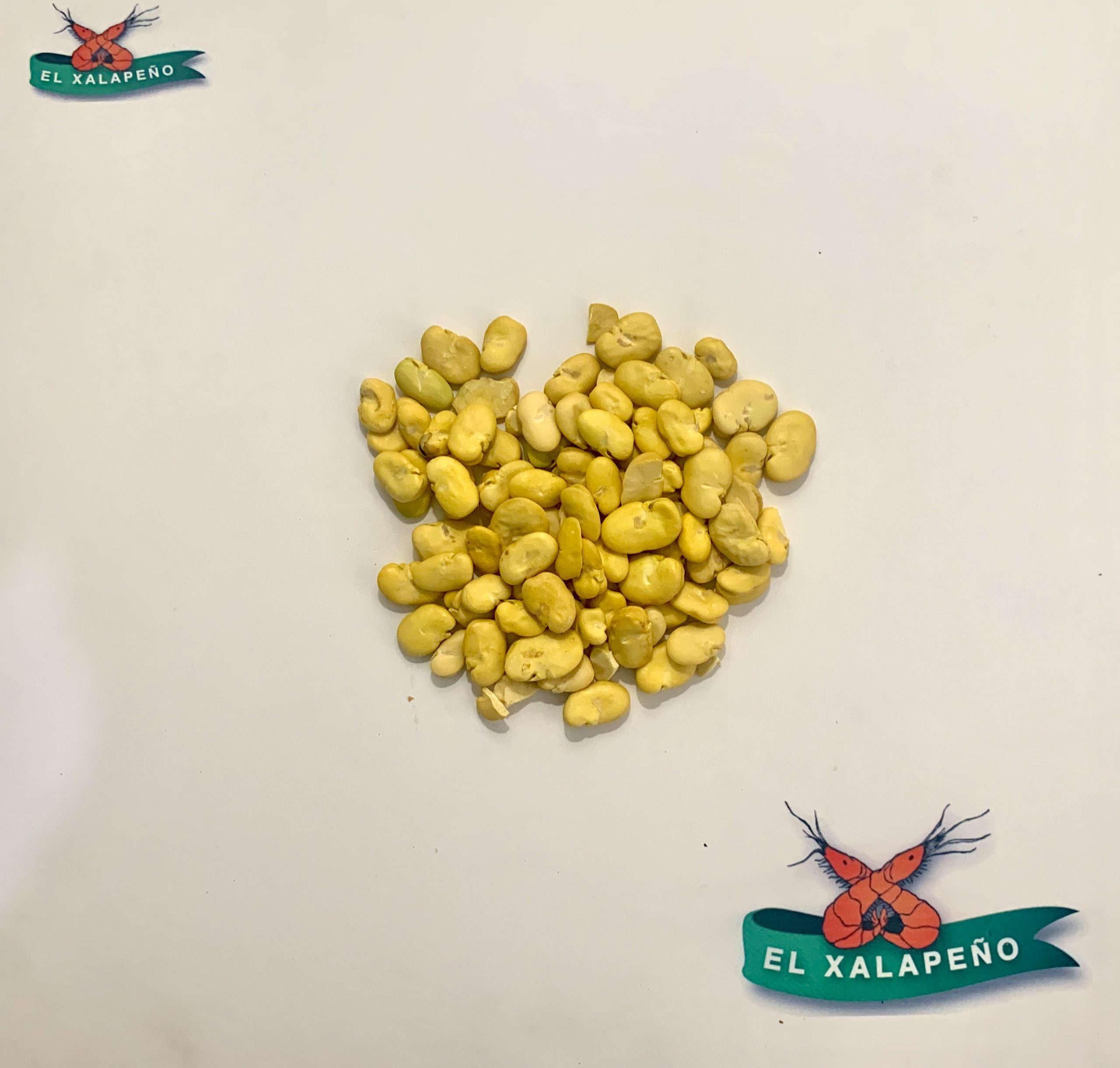 Haba pelada – bulto c/25 kg – Xalapeno